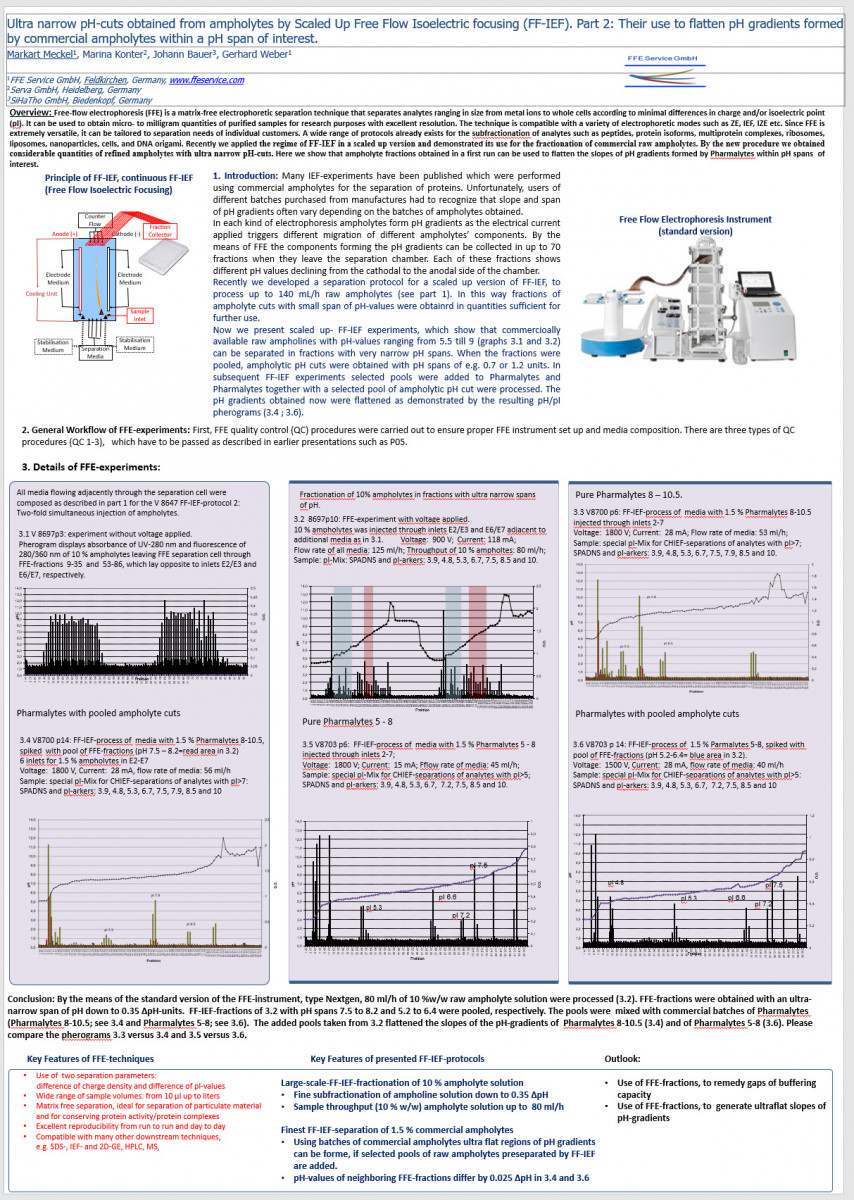 Manifold FF-IEF-process | FFE Service by SERVA