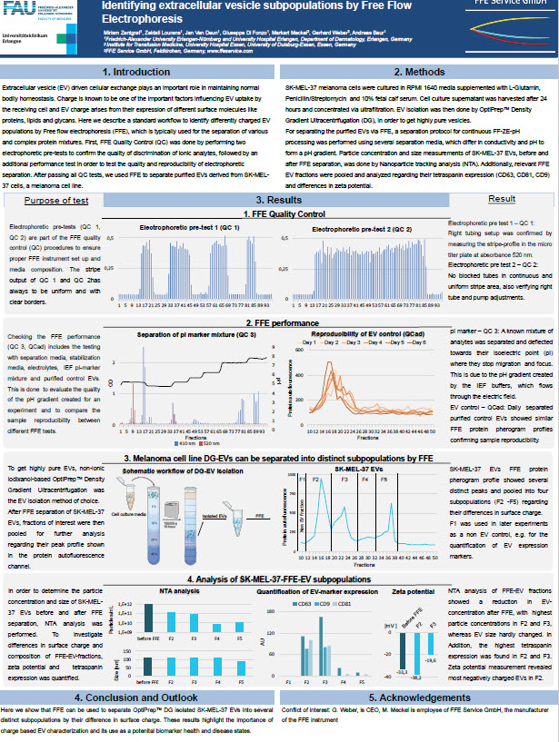 Extracellular Vesicles | FFE Service by SERVA